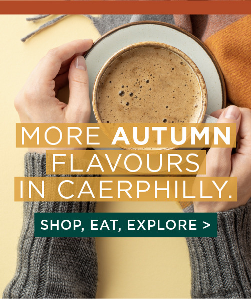 Castle Court Shopping Centre - Shopping, Food & Fun in Caerphilly