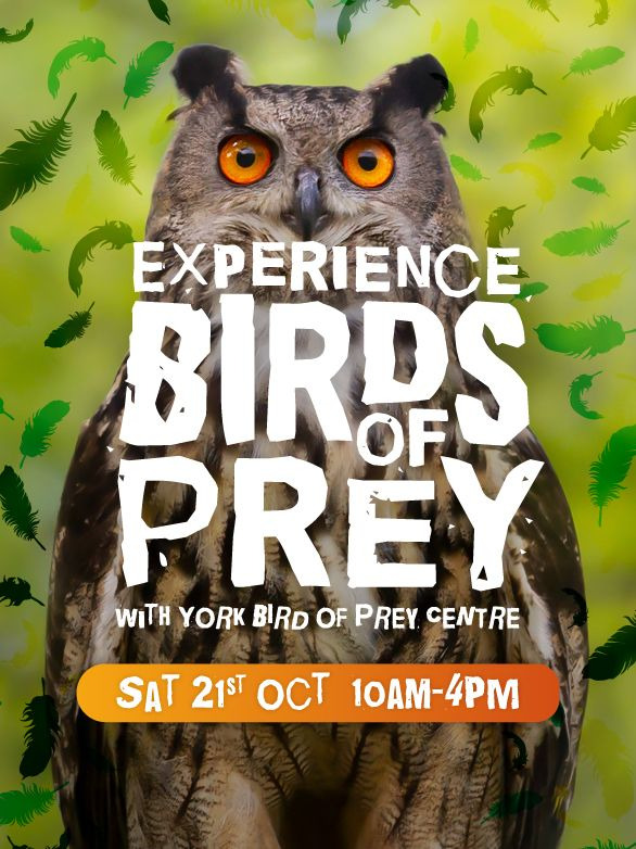 The Foundry Shopping Centre - Great Shopping in the Heart of Scunthorpe